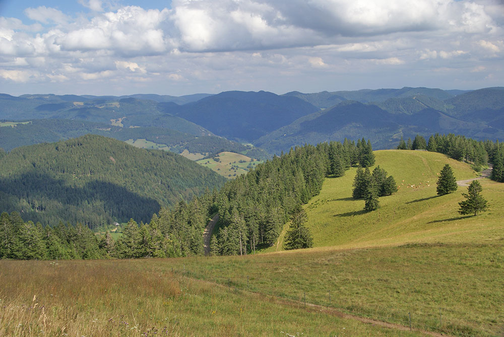 09 - Hochschwarzwald